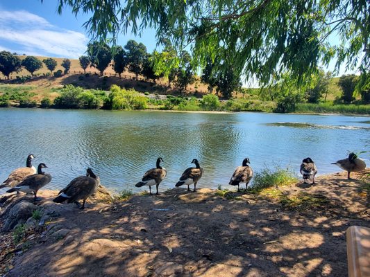 SANDY WOOL LAKE - Updated April 2025 - 111 Photos & 18 Reviews - 3248 ...