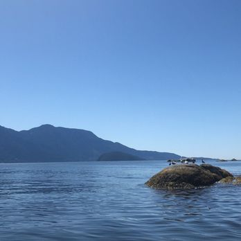 SEWELL’S MARINA - Updated December 2025 - 73 Photos & 33 Reviews - 6409 ...