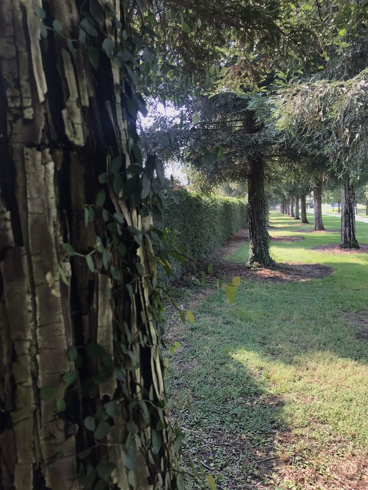 CITIZENS PARK - Updated December 2025 - 19001-19225 E Parlier Ave ...