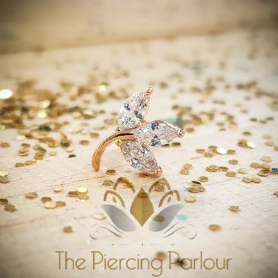 THE PIERCING PARLOUR - Updated December 2025 - 26 Photos & 19 Reviews ...