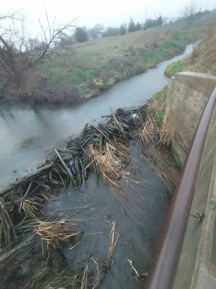 CAJUN WILDLIFE CONTROL - Updated January 2025 - Hutchinson, Kansas ...