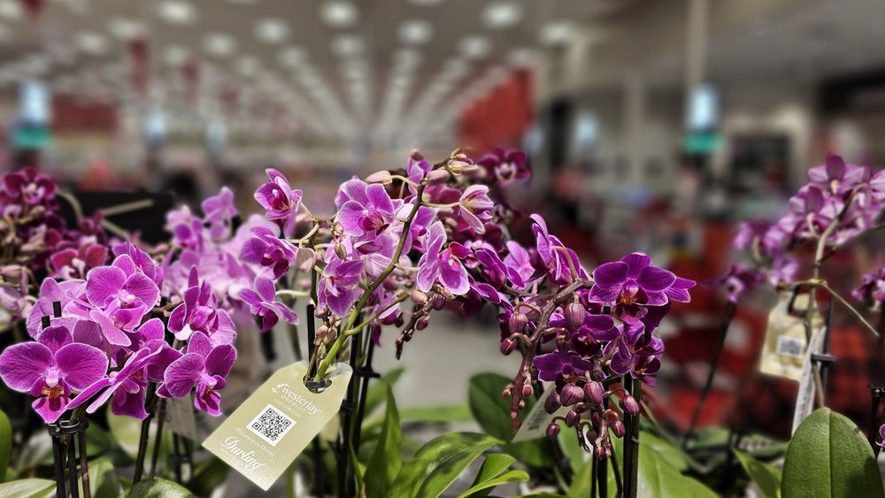 TARGET - Updated September 2025 - 201 Photos & 207 Reviews - 10451 ...