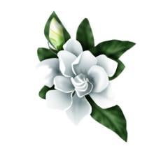 PRECISELY RIGHT ACCOUNTING - Updated January 2026 - 17 Reviews - 8613 ...