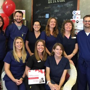 SUNCOAST HUMANE SOCIETY - Updated June 2025 - 13 Photos & 21 Reviews ...