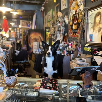 TIGER DUST - Updated September 2025 - 33 Photos - 4222 N Florida Ave ...