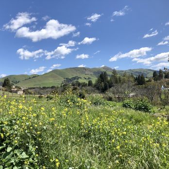 SABERCAT CREEK TRAIL - Updated August 2025 - 287 Photos & 24 Reviews ...