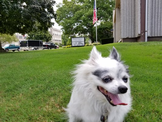 MOUNT CLEMENS PUBLIC LIBRARY - Updated January 2026 - 150 Cass Ave ...