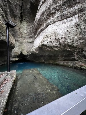 ROARING RIVER STATE PARK - 65 Photos & 22 Reviews - 12716 Farm Rd 2239 ...