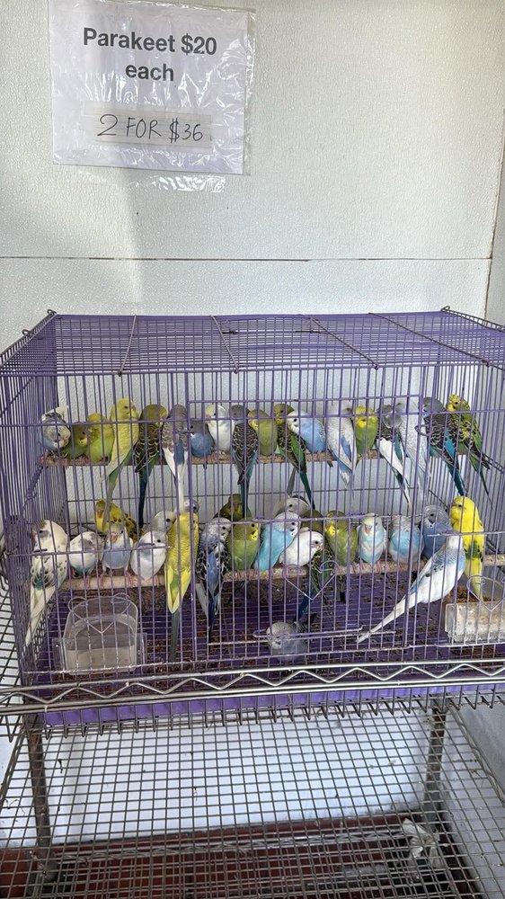 BALADI POULTRY - Updated October 2025 - 43 Photos & 41 Reviews - 8261 ...