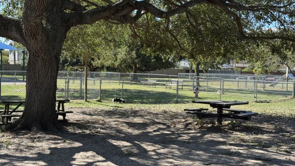 THE COVE AT GYB - Updated October 2025 - 15 Photos - 601 N Holiday Dr ...