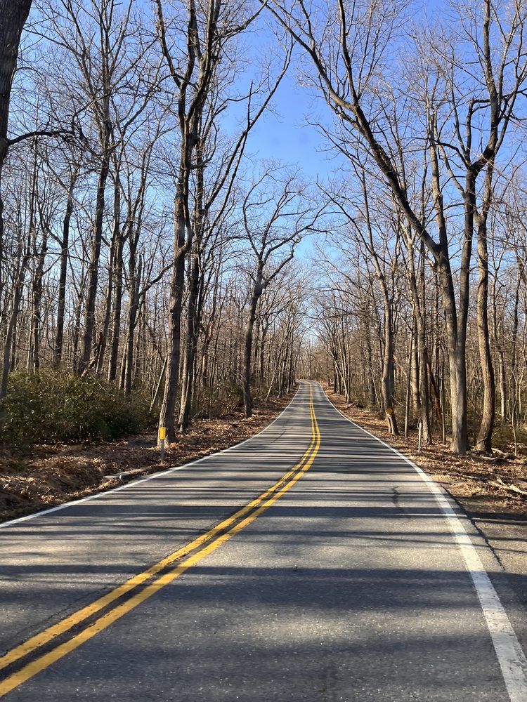 GAMBRILL STATE PARK - Updated October 2025 - 67 Photos & 23 Reviews ...