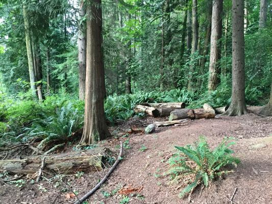 SIMON FRASER HILLS PARK - Updated July 2024 - 74 Photos - 9025 ...