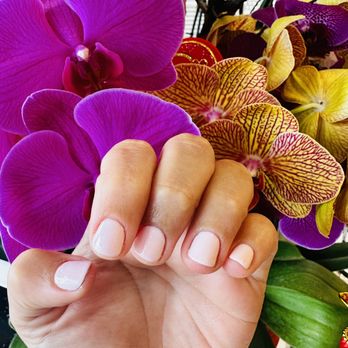 OASIS NAIL BAR - Updated July 2025 - 188 Photos & 27 Reviews - 26544 ...
