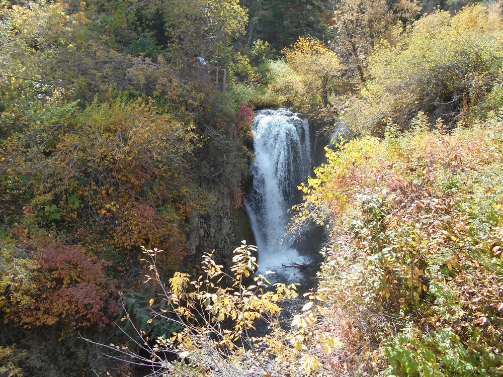 BLACK HILLS HEALTH PRODUCTS - Updated January 2026 - 7216 Lola Dr ...