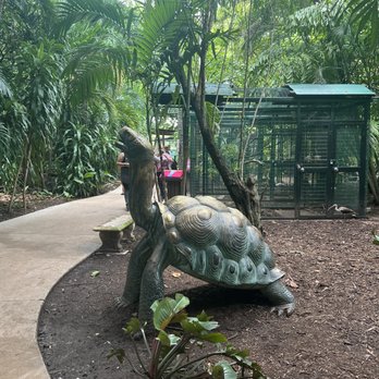 JUNGLE ISLAND - 1122 Photos & 469 Reviews - 1111 Parrot Jungle Trl ...