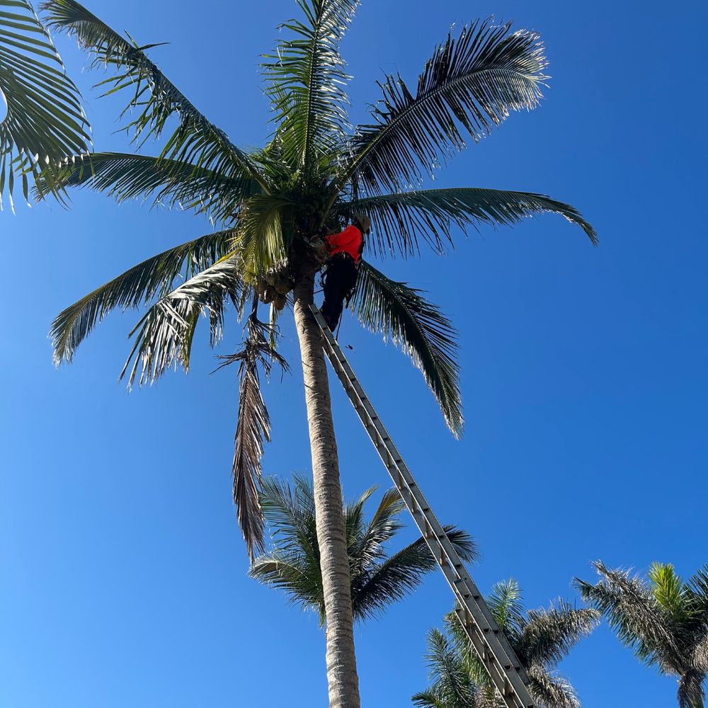 FLORIDA PERFORMANCE - Updated July 2024 - Fort Myers Beach, Florida ...