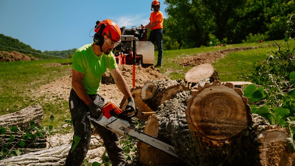 TREE LOVING CARE - Updated August 2025 - Request a Quote - 12 Photos ...