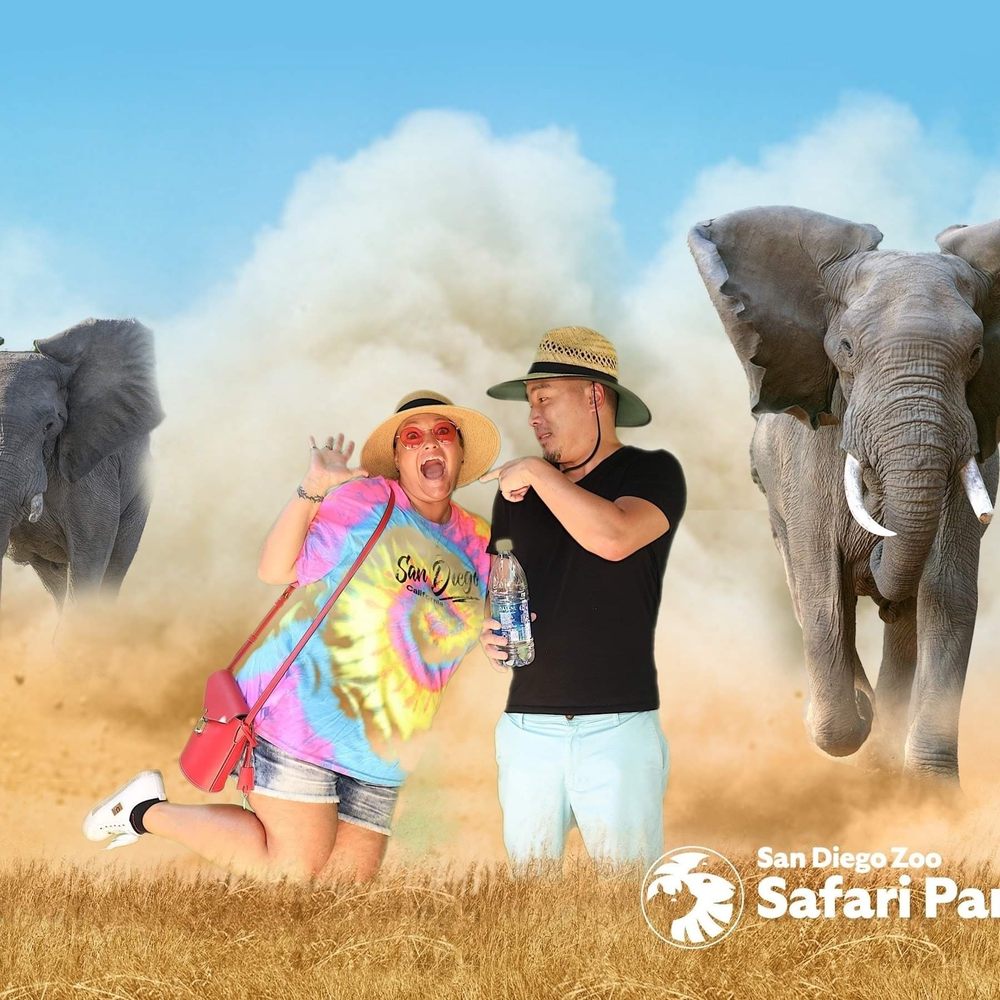 TRAVEL CHIC BON VOYAGE - Updated December 2025 - Contact Agent - 12 ...