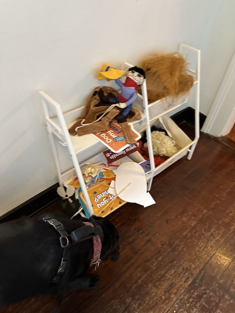 FUR BEBE CAFE - TEMP. CLOSED - Updated January 2026 - 73 Photos & 16 ...