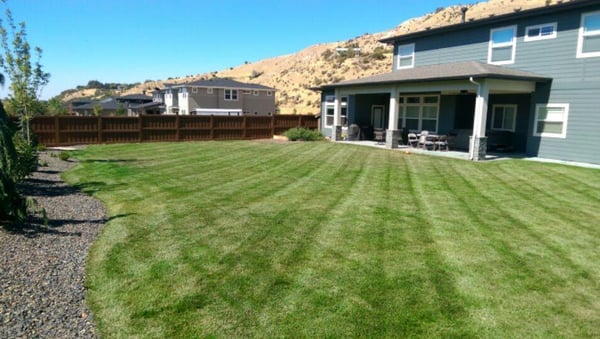 ALL PRO LAWN SERVICE - Updated December 2025 - 29 Photos & 72 Reviews ...