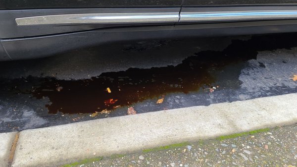 SDS AUTOMOTIVE - Updated October 2025 - 22 Photos & 22 Reviews - 3251 ...