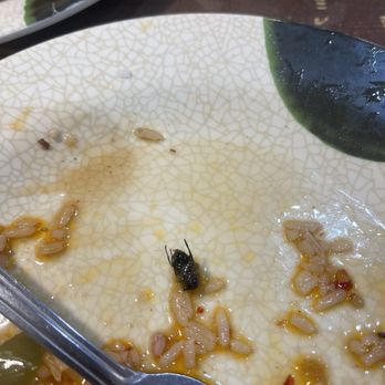 MIYOKO BUFFET - Updated July 2025 - 43 Photos & 47 Reviews - 636 ...