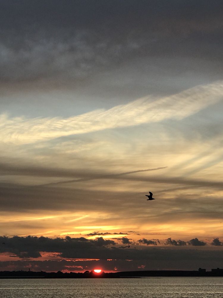 BROAD CHANNEL PARK - 13 Photos - 17-40 Cross Bay Blvd, Broad Channel ...