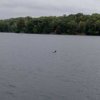 THE SPOT SUPPER CLUB & RESORT - Updated August 2025 - 11 Reviews - 9575 ...