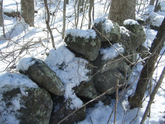 GREAT SWAMP MANAGEMENT AREA - Updated January 2026 - 31 Photos ...