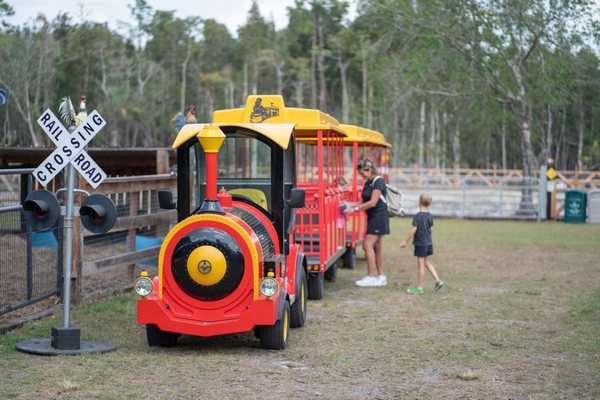 GOOD MOOD RANCH - 20 Photos - 306 Sabal Palm Rd, Naples, Florida ...