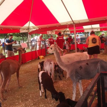 TASTE ADDISON - Updated July 2025 - 154 Photos & 54 Reviews - Addison ...