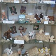 HUMANE SOCIETY OF MISSOURI - 36 Photos & 38 Reviews - 1201 Macklind Ave ...