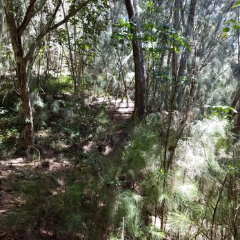 HAU’ULA LOOP TRAIL - Updated May 2024 - 131 Photos & 21 Reviews - 54-55 ...