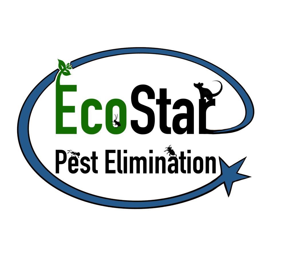 ECOSTAR PEST ELIMINATION - Updated December 2024 - Request a Quote ...