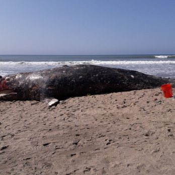 COUNTY LINE BEACH - Updated December 2025 - 99 Photos & 23 Reviews ...