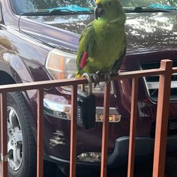 MILYA CAFE - Updated October 2025 - 175 Photos & 276 Reviews - 11033 ...