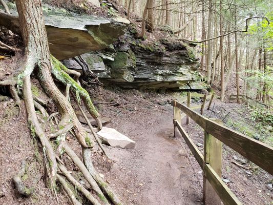 LEONARD HARRISON STATE PARK - 34 Photos & 11 Reviews - Parks - 4797 Rte ...