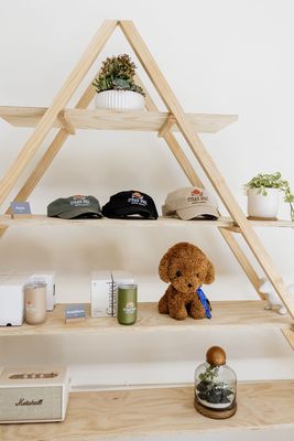 STRAY DOGS COFFEE ROASTERS - Updated June 2025 - 248 Photos & 118 ...