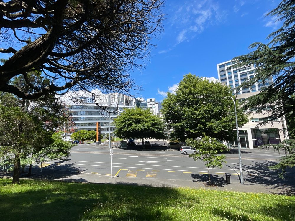 UNIVERSITY OF AUCKLAND LIBRARY - Updated July 2025 - 5 Alfred Street ...