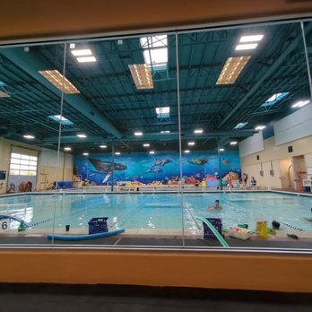 AMERICAN SWIM ACADEMY - Updated December 2025 - 51 Photos & 246 Reviews ...