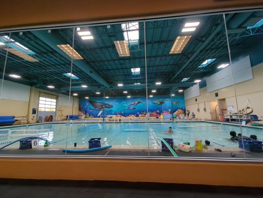 AMERICAN SWIM ACADEMY - Updated December 2025 - 51 Photos & 246 Reviews ...