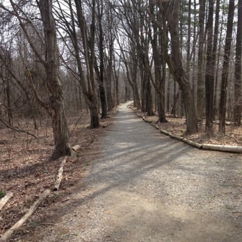 MITCHELL MEMORIAL FOREST - Updated November 2025 - 78 Photos & 10 ...