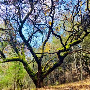 RAGLE RANCH REGIONAL PARK - 56 Photos & 42 Reviews - 500 Ragle Rd ...