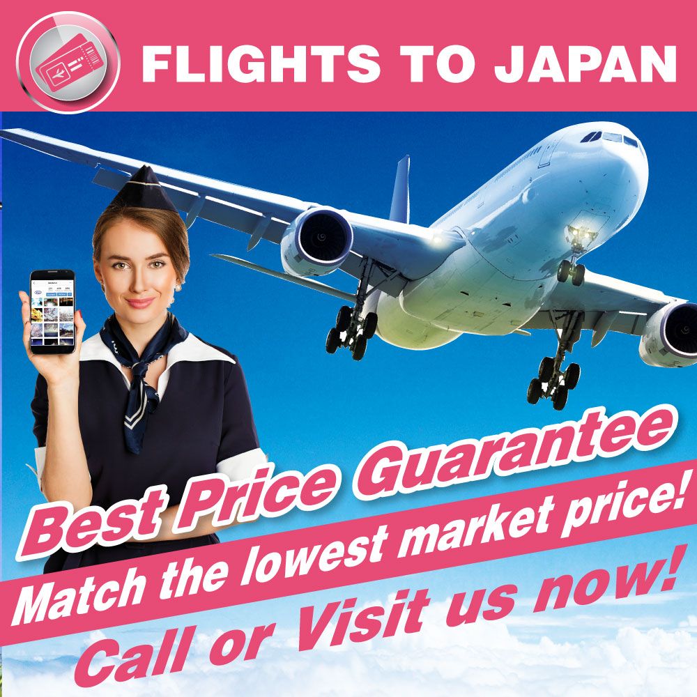 IACE TRAVEL DALLAS - Updated September 2025 - 11 Reviews - 4101 McEwen ...