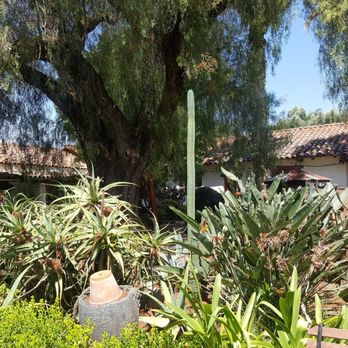 MISSION SAN ANTONIO DE PALA - Updated August 2025 - 200 Photos & 22 ...
