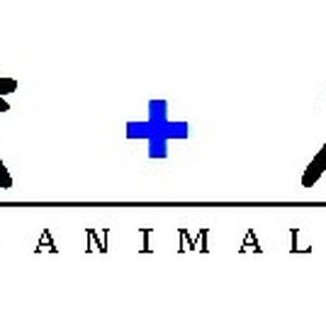 VCA BECKER ANIMAL HOSPITAL AND PET RESORT - Updated October 2025 - 242 ...