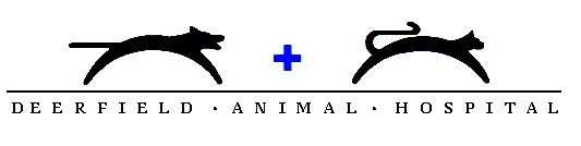 DEERFIELD ANIMAL HOSPITAL - Updated December 2025 - 36 Photos & 96 ...