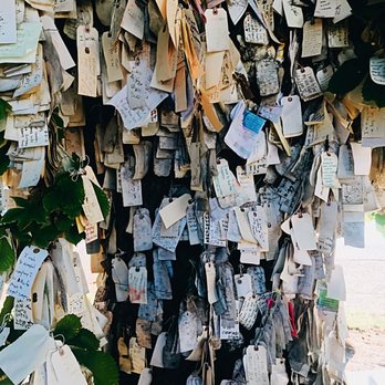 THE WISHING TREE - Updated December 2025 - 54 Photos & 12 Reviews ...