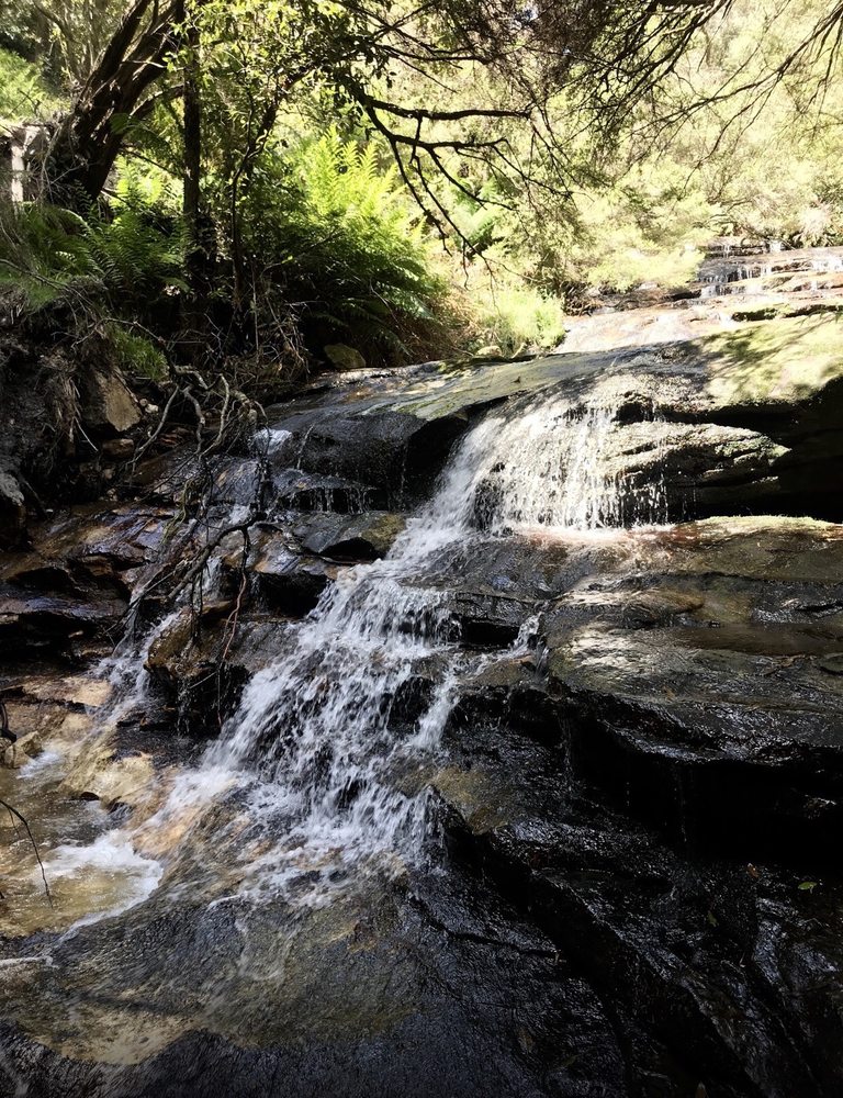 LEURA CASCADES - 11 Photos - Cliff Drive, Leura New South Wales ...