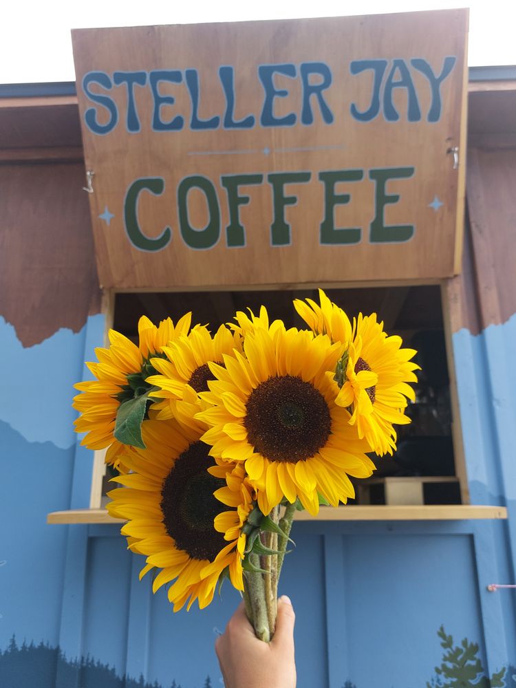 STELLER JAY COFFEE CART - Updated December 2025 - Smithers, British ...